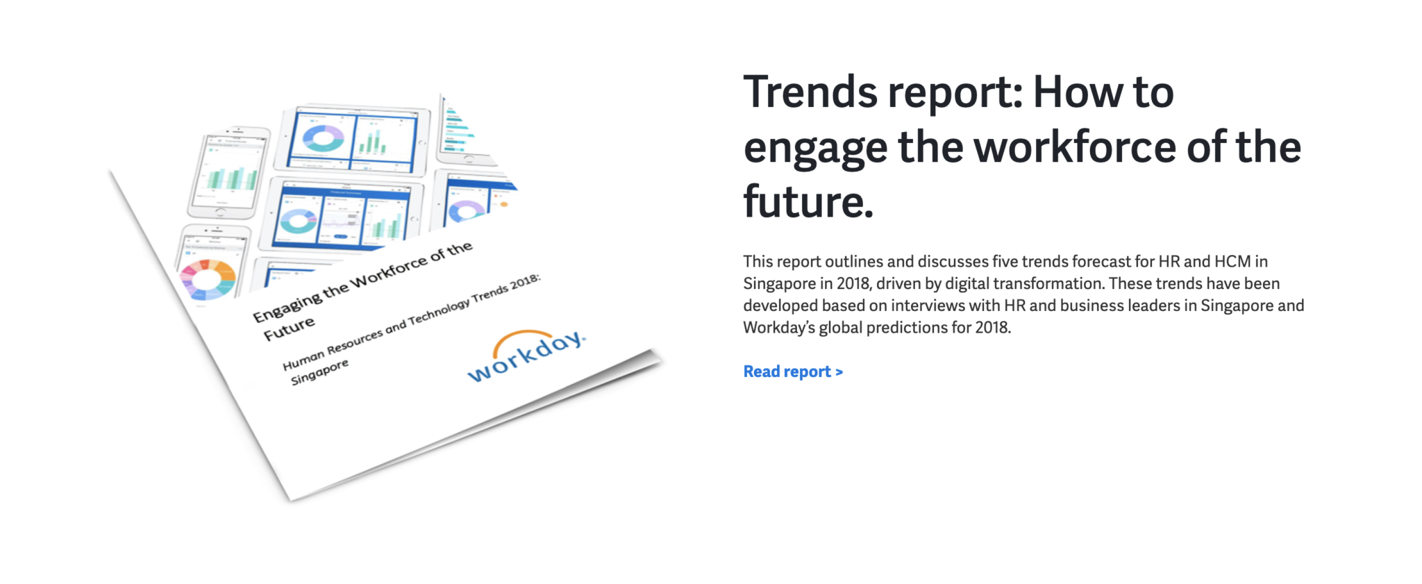 Workday HR & Inclusivity Panel : Click2View